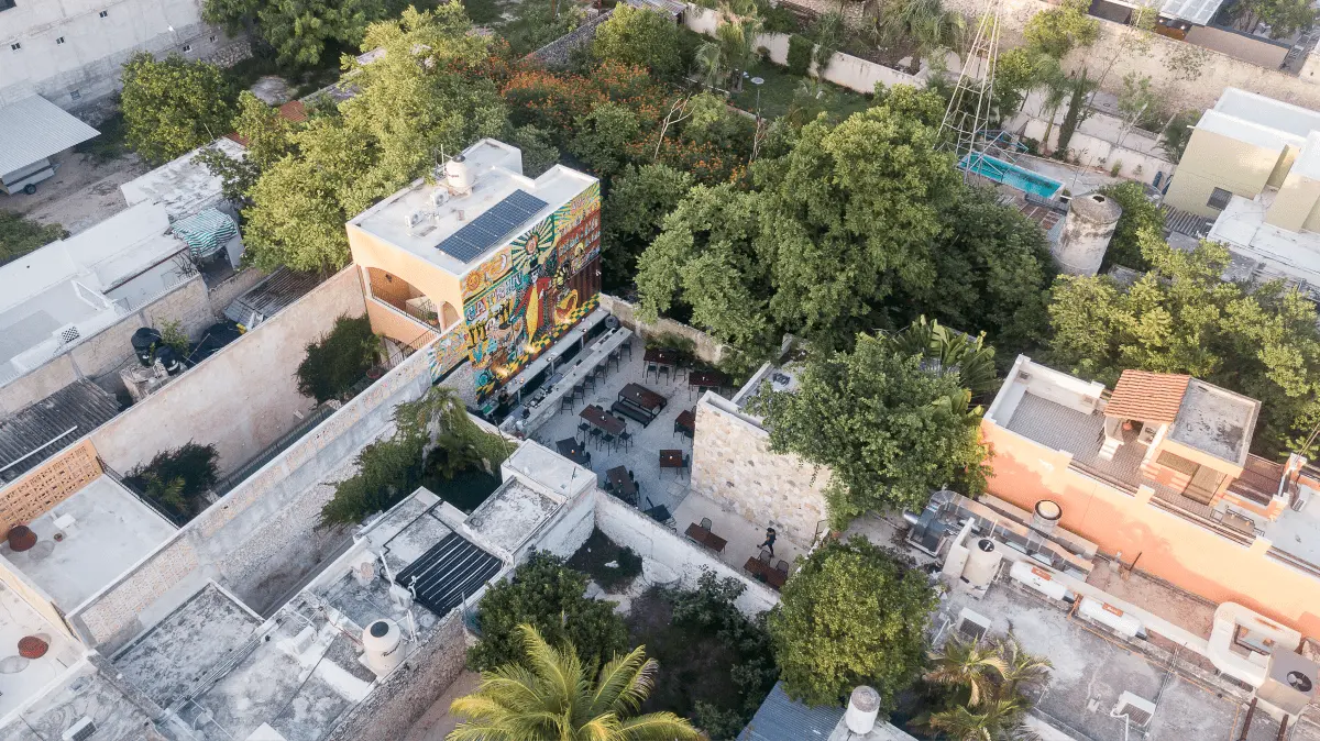 Catrín - Artist - Jacobo Roa