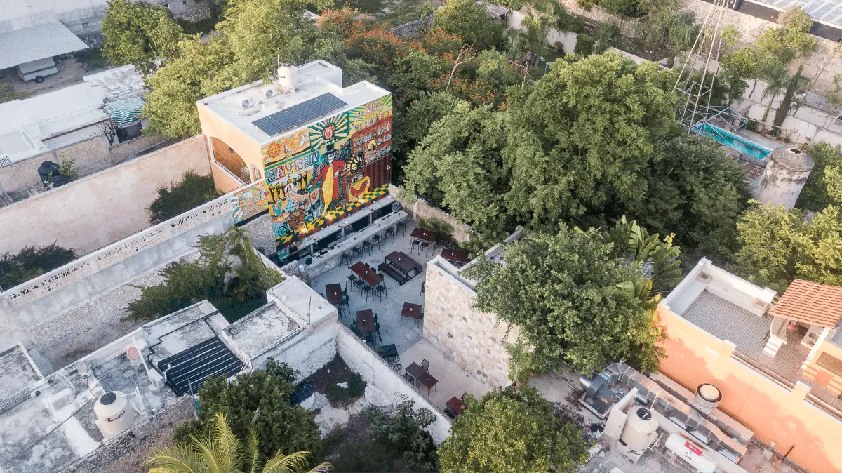 Catrín - Artist - Jacobo Roa